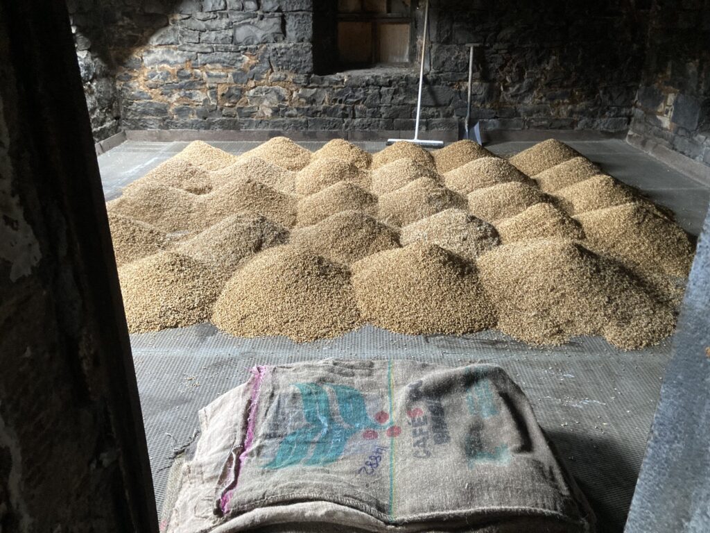 Local Barley Project - Thompson Bros at Dornoch Distillery